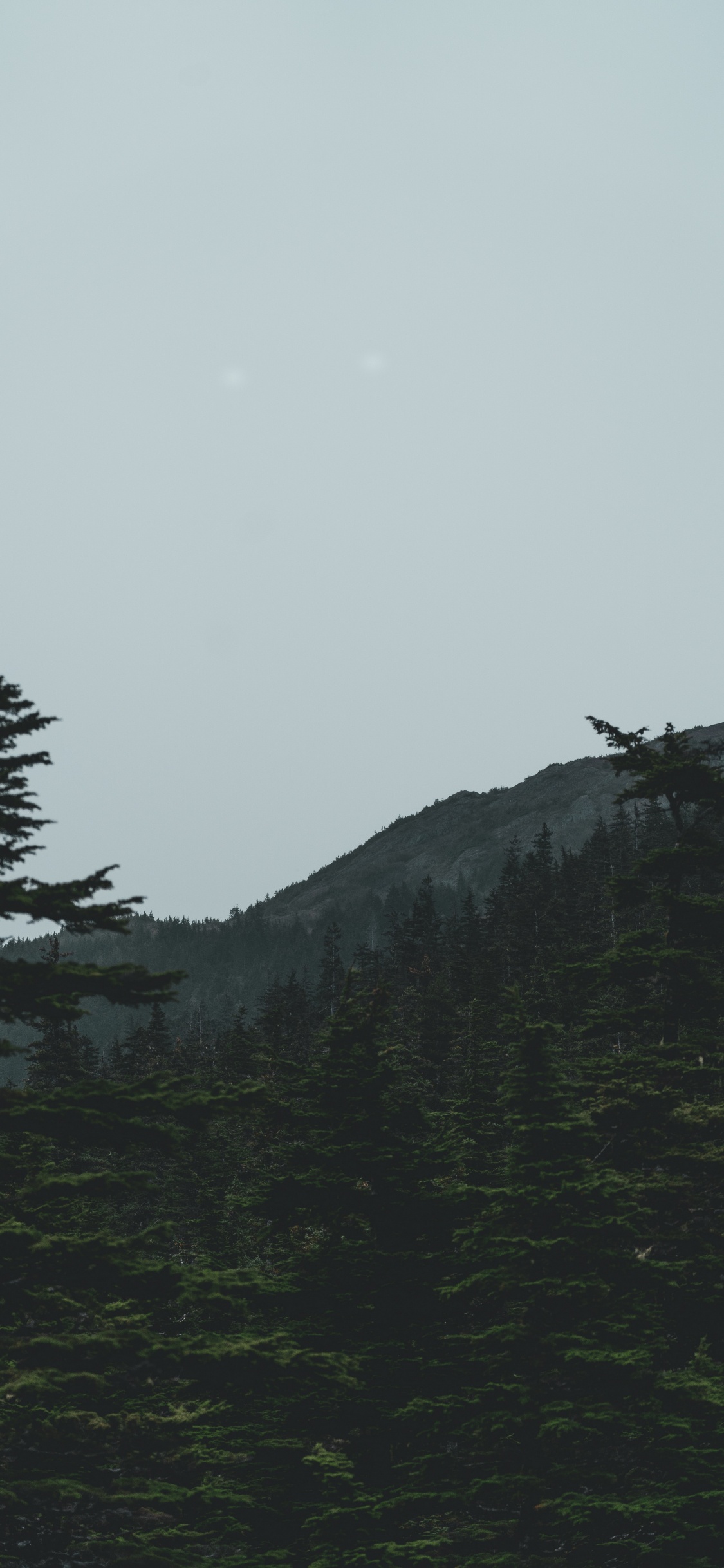 Hill, Wilderness, Mountain, Biome, Mountainous Landforms Wallpaper for ...
