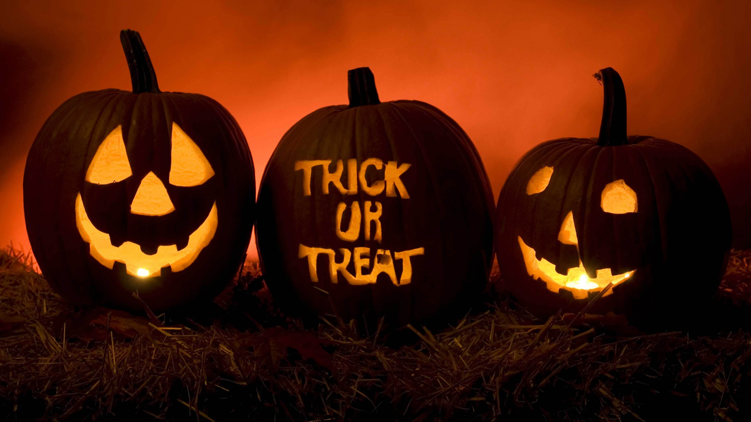 {calabaza, 冬南瓜, 南瓜, 雕刻, 杰克o灯笼 WQHD, QHD, 16:9 壁纸，2560x1440 假期与活动 图片，桌面 ...