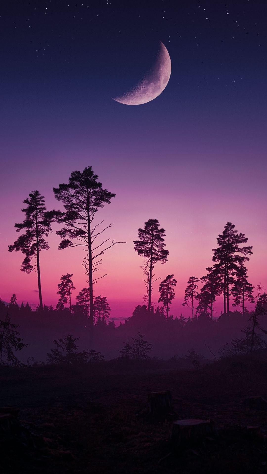 Fondos de Pantalla Sostenibilidad, Ambiente, Ecorregión, Luna, Luz ...