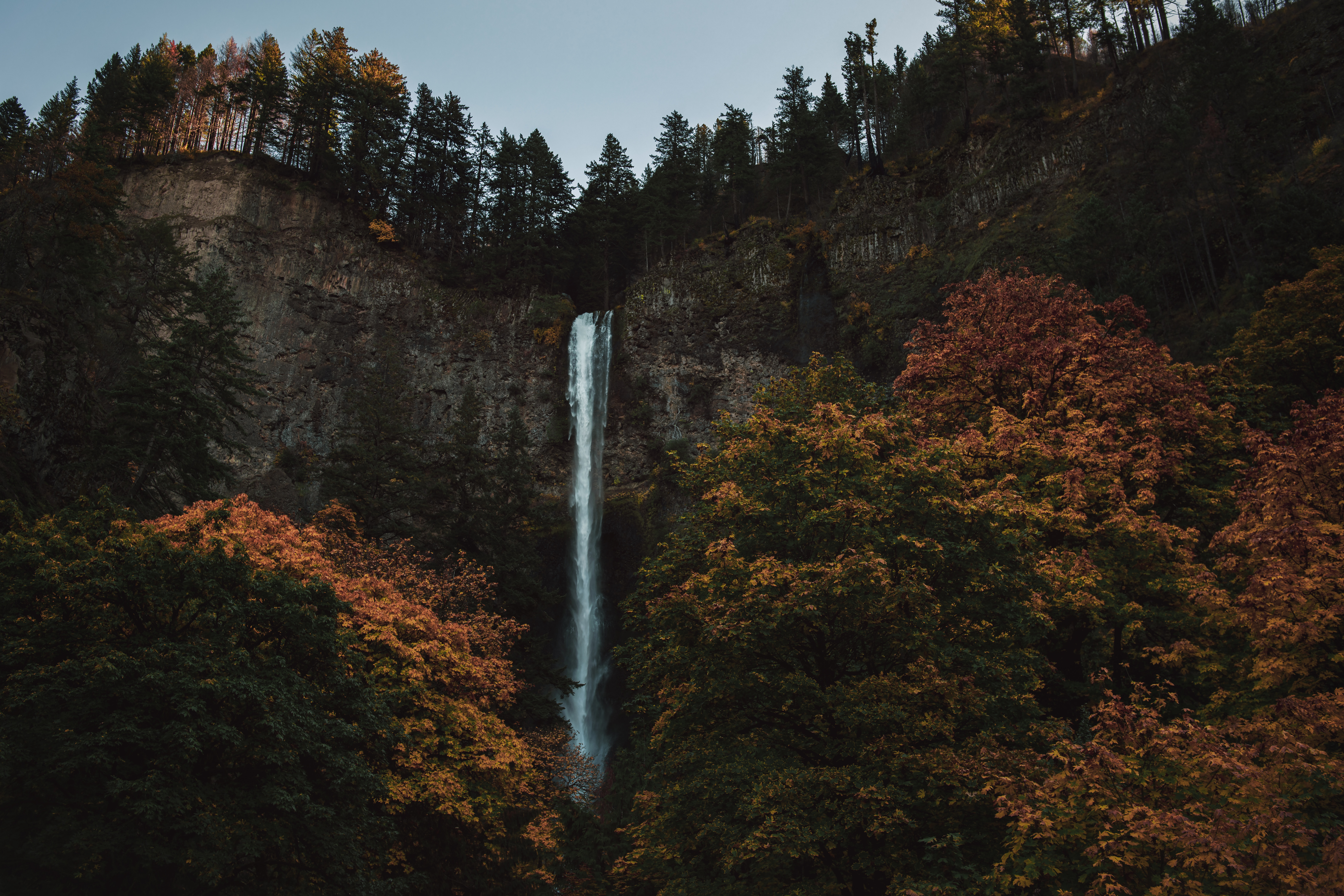 Multnomah Falls Wallpaper