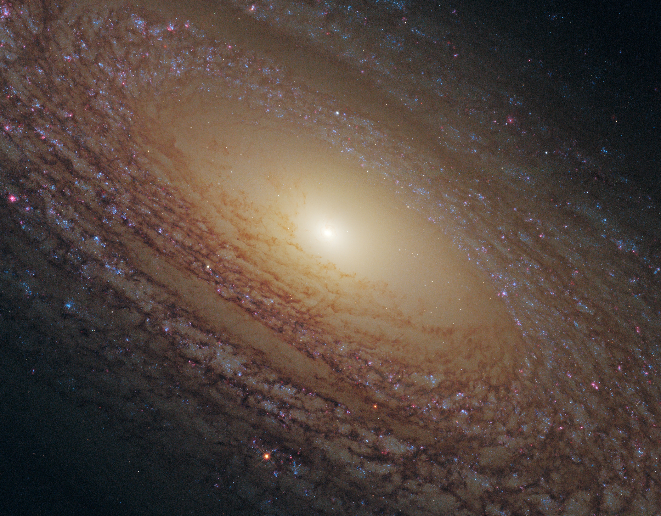 星系 ngc 2841, ngc2841, 螺旋星系, 天文学, 明星 高清壁纸，空间 图片，桌面背景和图片