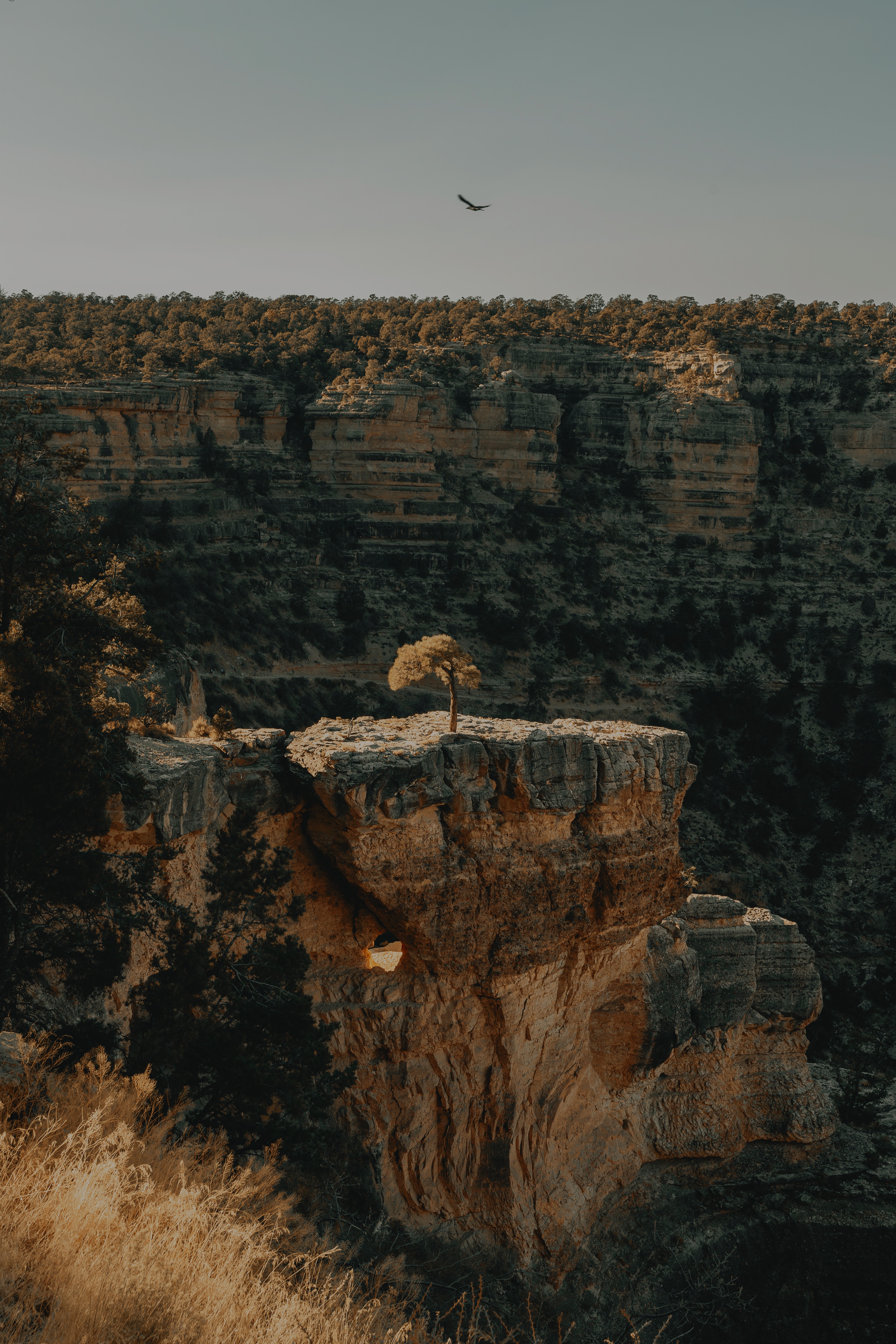 Wallpaper Bright Angel Trail, Formation, Rock, Geology, Fault ...