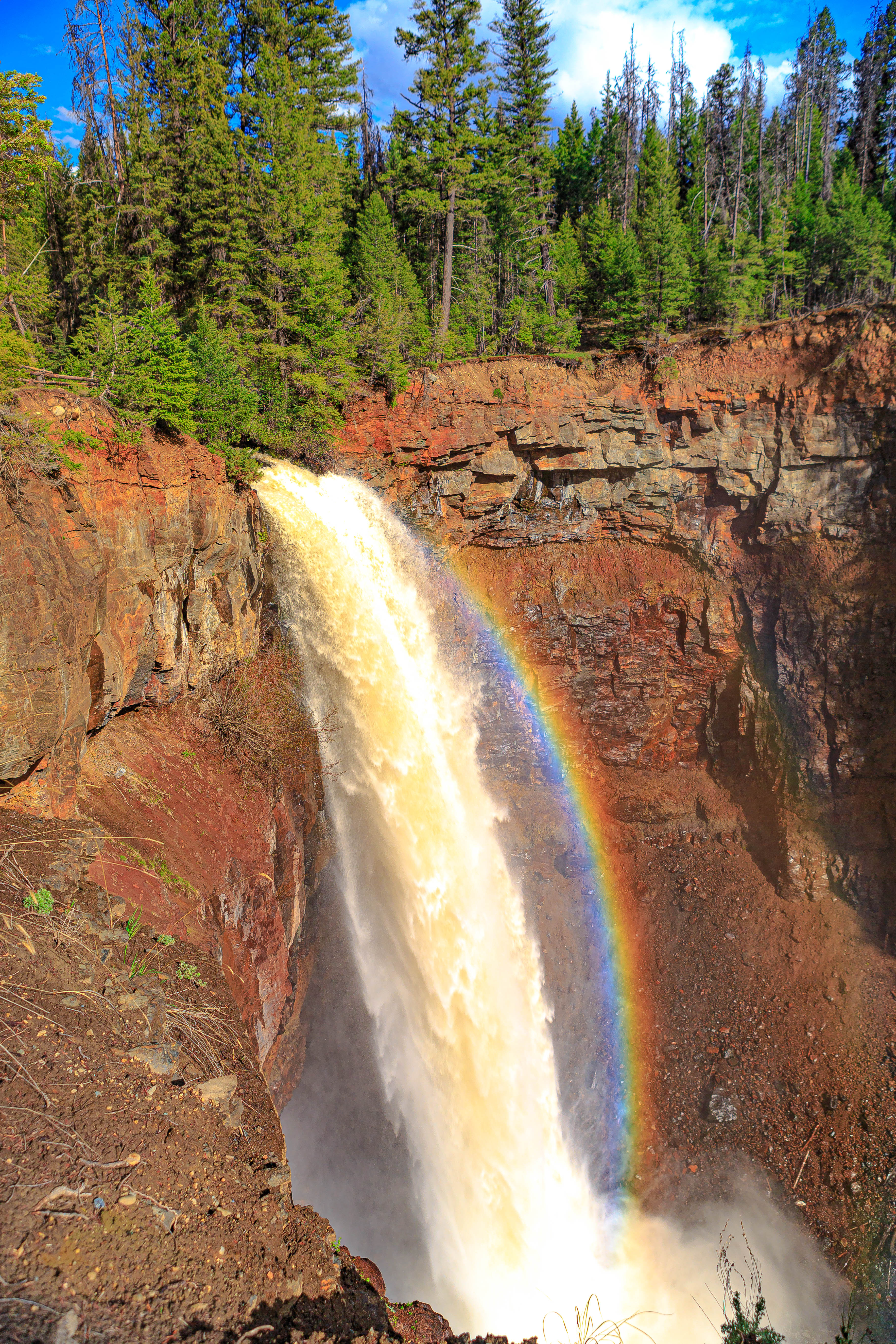 Wallpaper Waterfall, Tablet, Rainbow, Water, Plant, Background ...