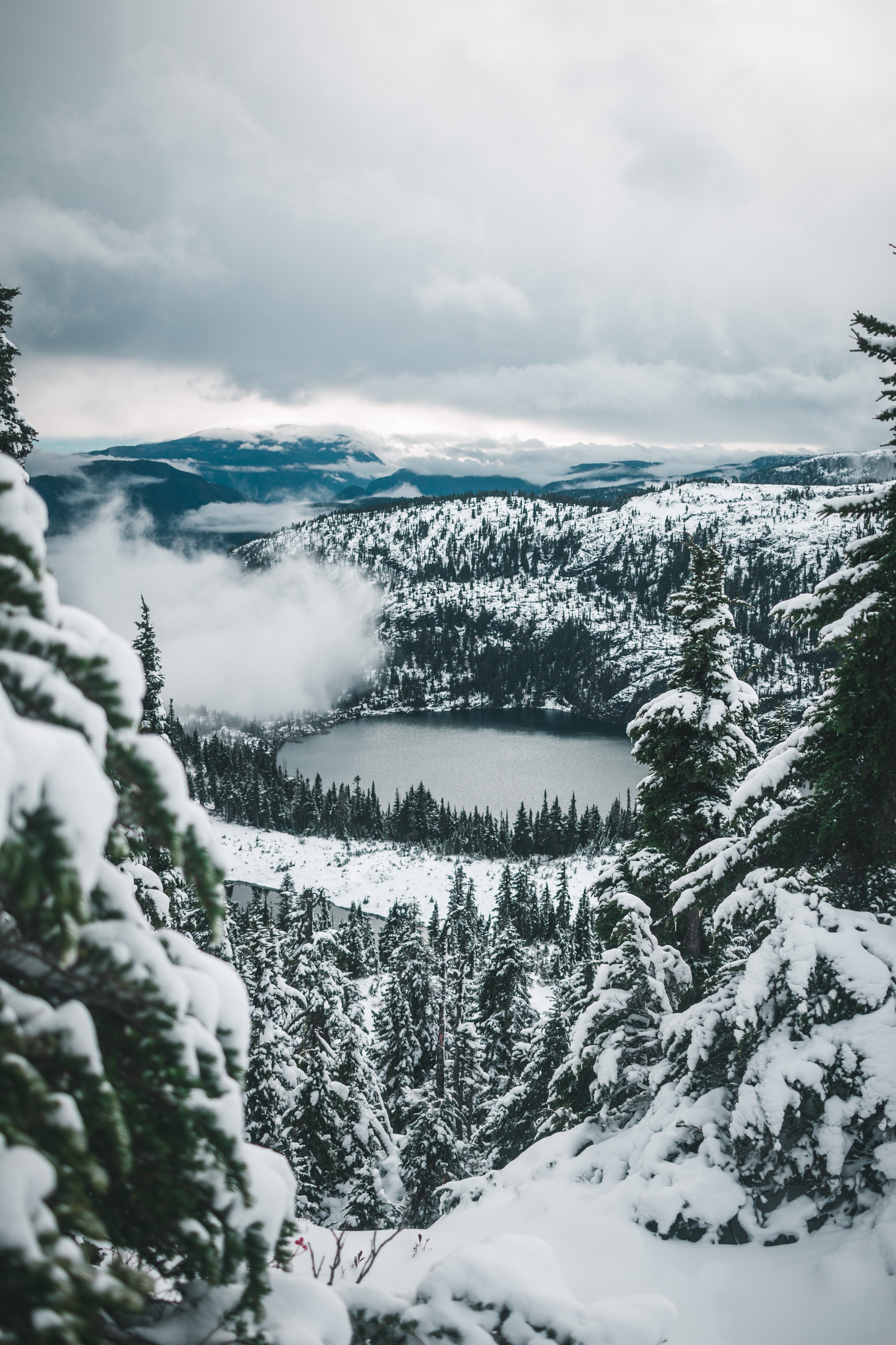 Wallpaper Nature, Freezing, Winter, Cell Phones, Tree, Background ...