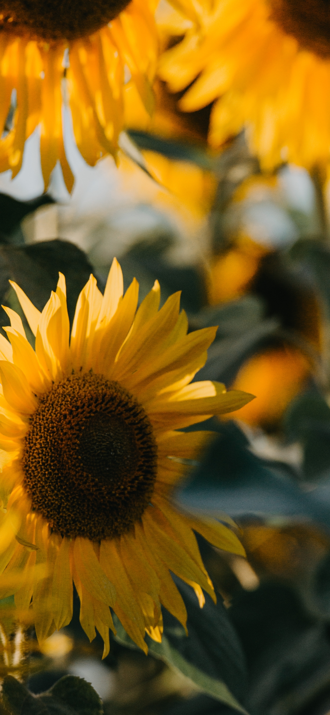 Les Fonds D’écran Finance, Impôt, Argent, Richesse Cordiner, Guide, Les ...