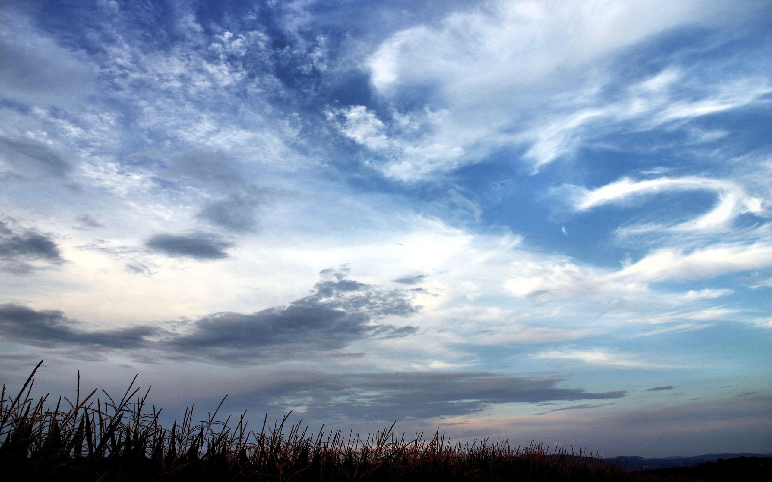 Wallpaper Green Grass Under Blue Sky and White Clouds During Daytime ...