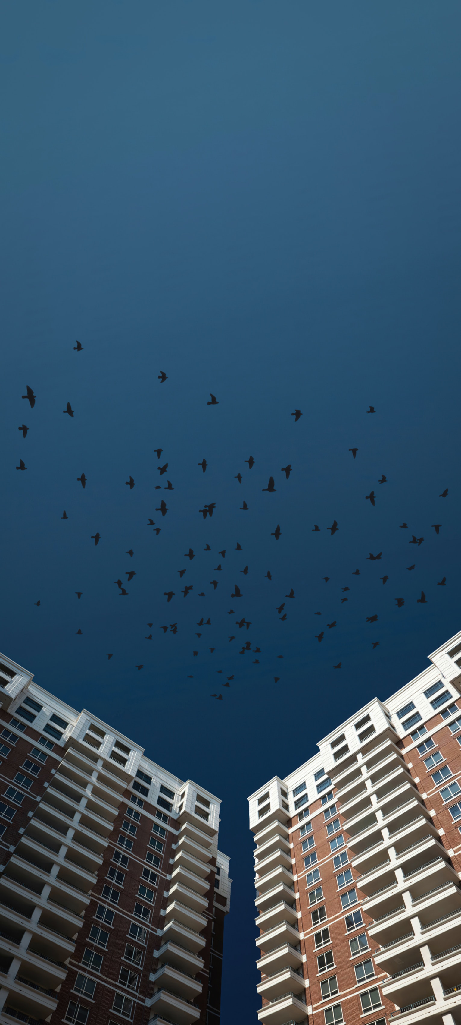 Wallpaper Bird, Cloud, Building, Urban Design, Tower Block, Background ...