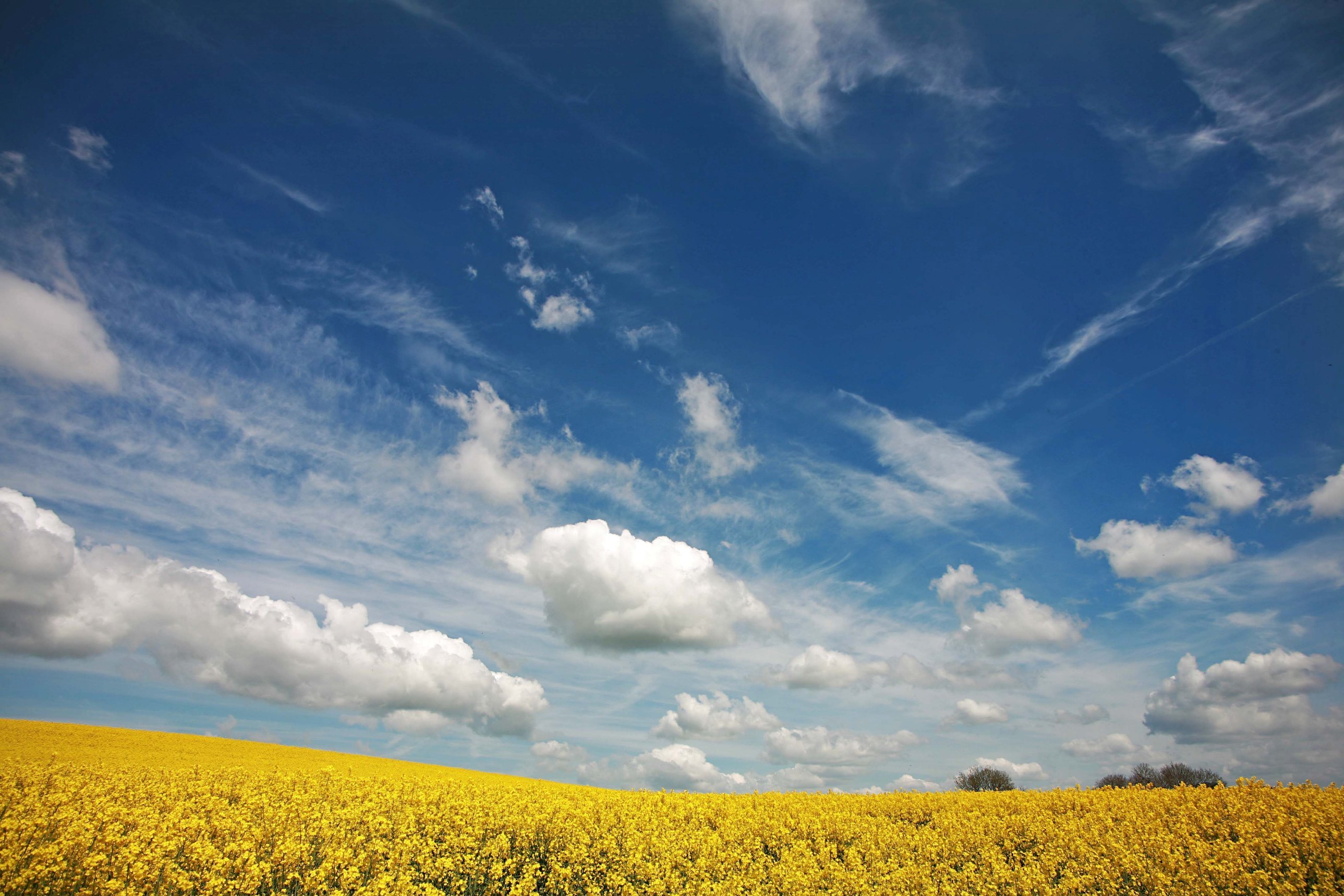 Wallpaper White Clouds and Blue Sky During Daytime, Background ...