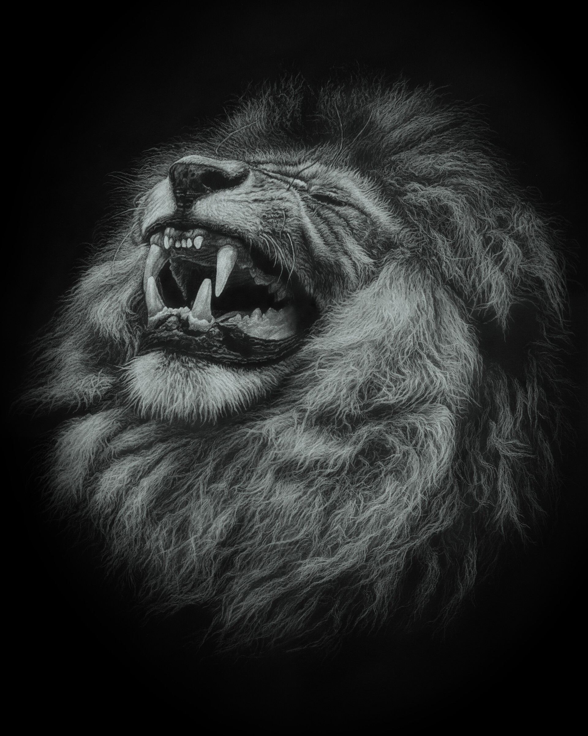 Wallpaper Lion With Mouth Open Illustration, Background - Download Free ...