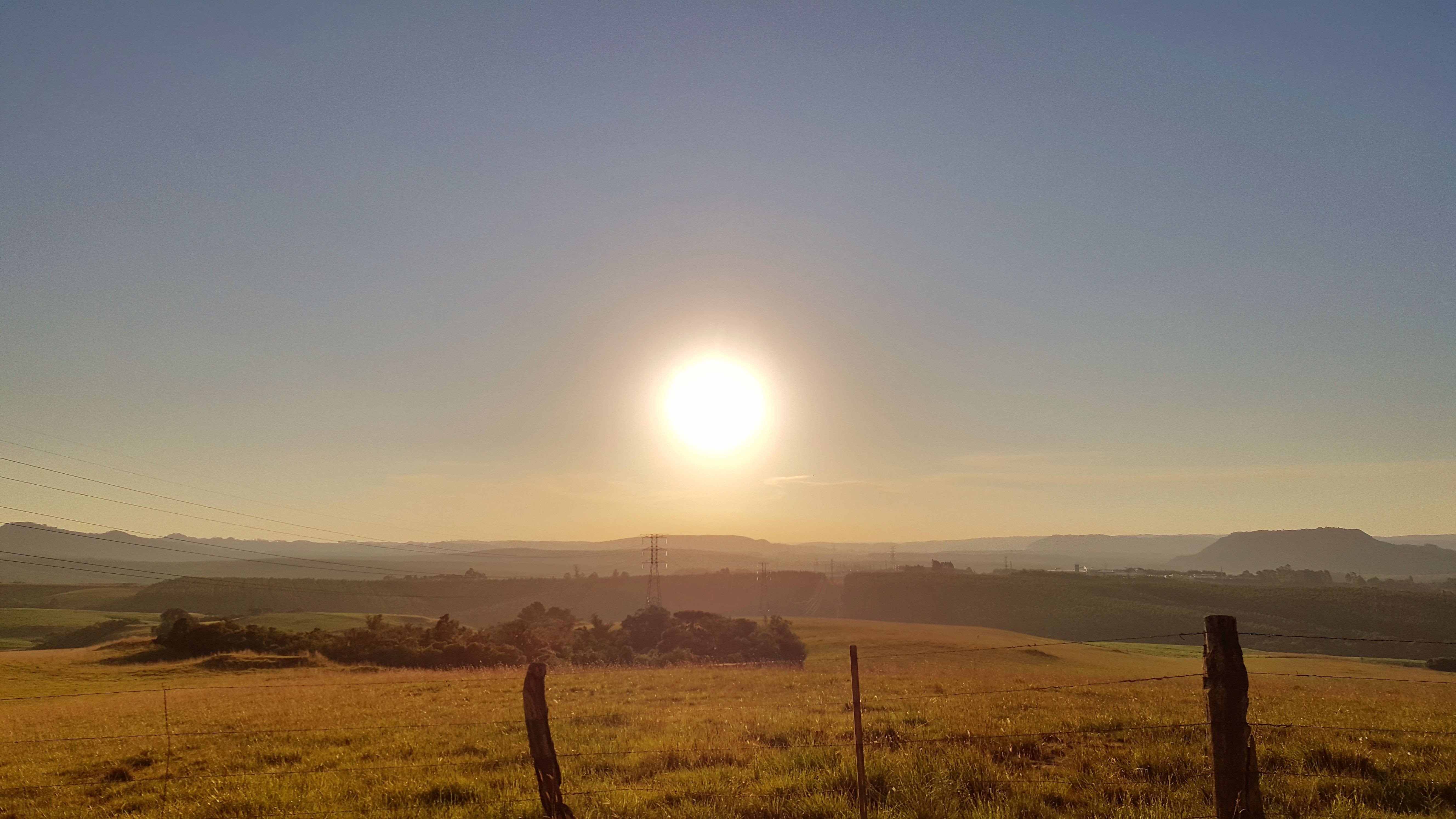 Wallpaper Green Grass Field During Daytime, Background - Download Free ...