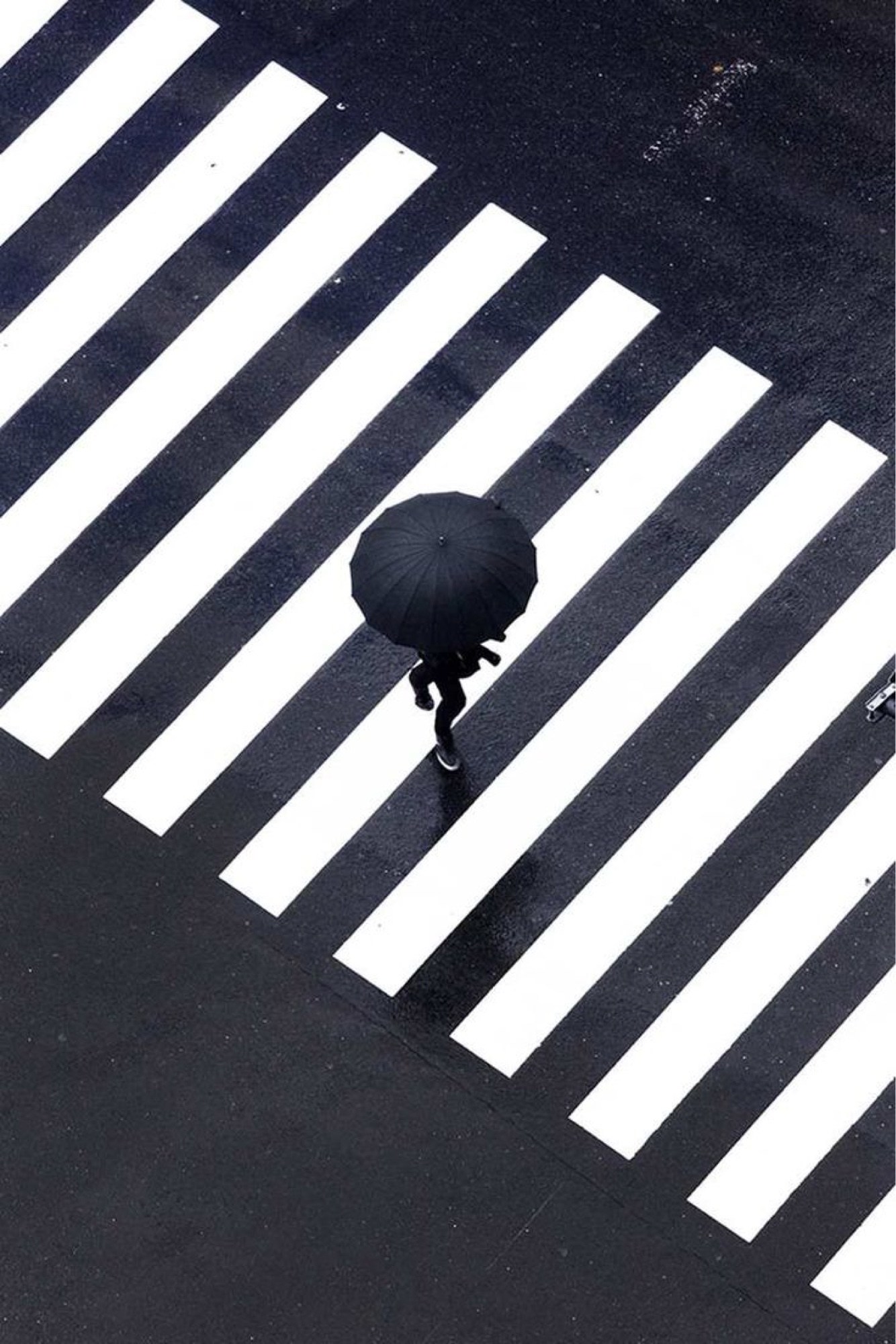 Wallpaper Zebra Crossing, Asphalt, Gesture, Grey, Road Surface ...