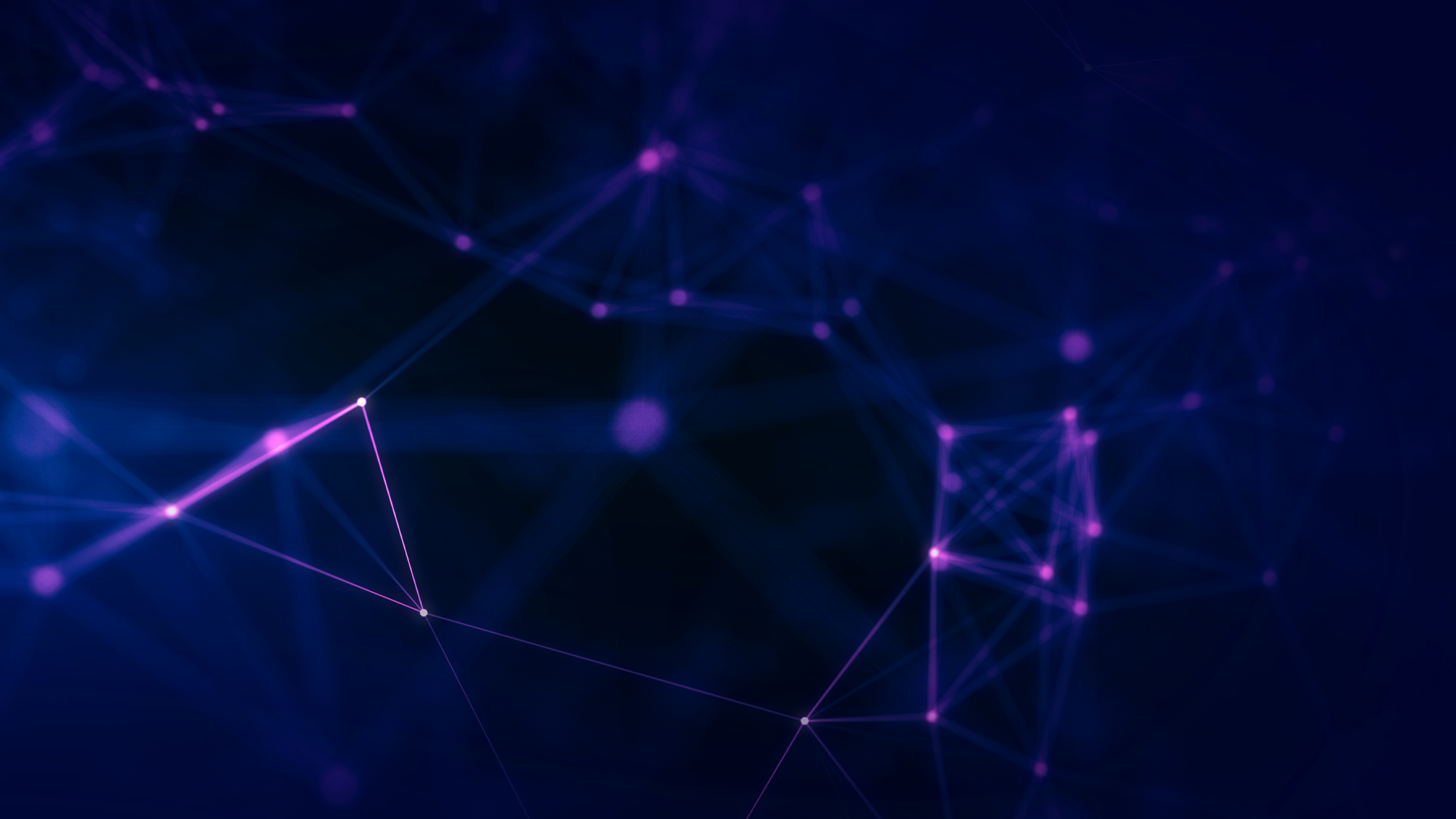 white spider network