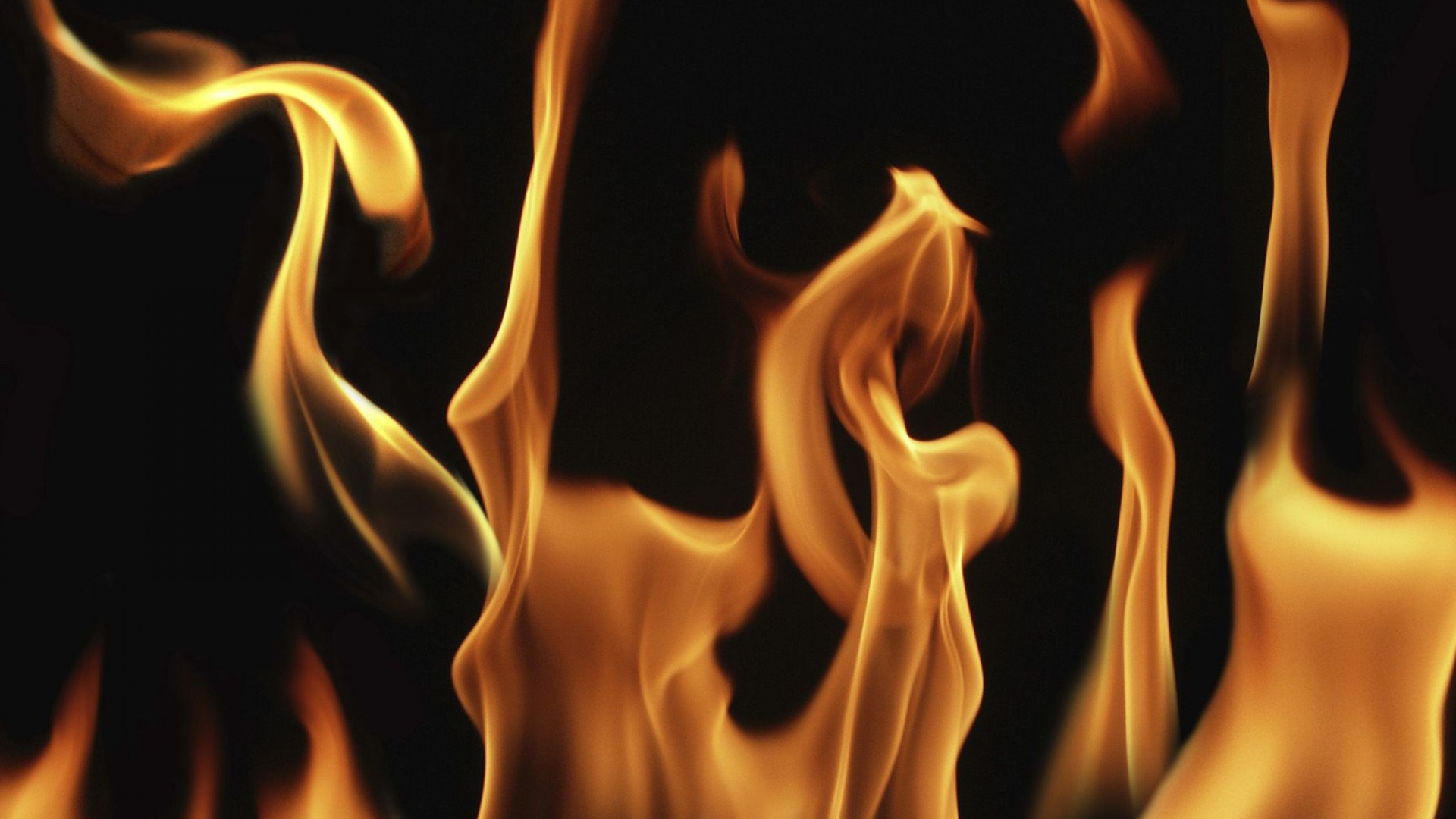 Wallpaper Yellow and Black Flame Illustration, Full HD, HDTV, 1080p 16: ...