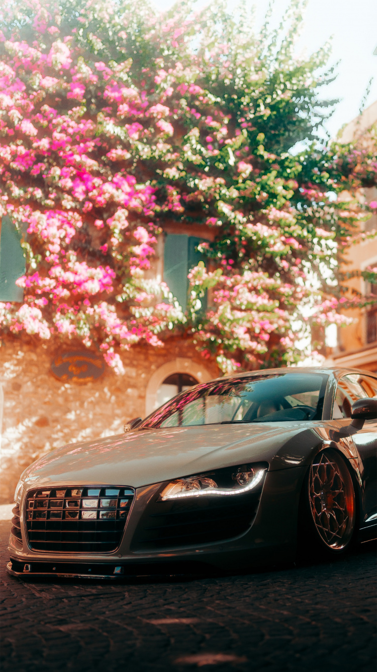 750x1334 Audi r8 Wallpapers for Apple IPhone 6 6S 7 8 Retina HD