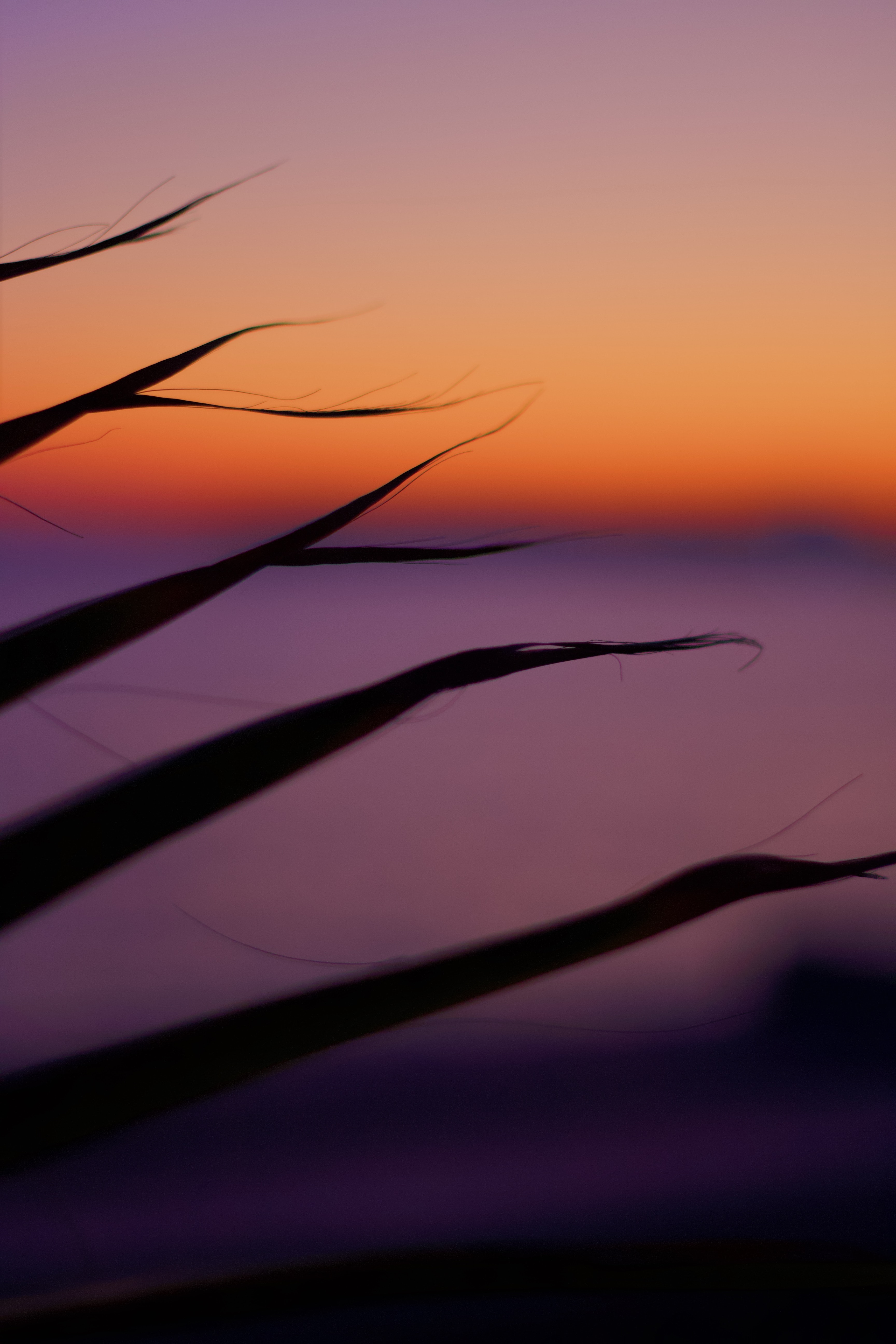 Atardecer Morado Hd Fotos De Purple Sunset [HQ] | Descargar Imágenes