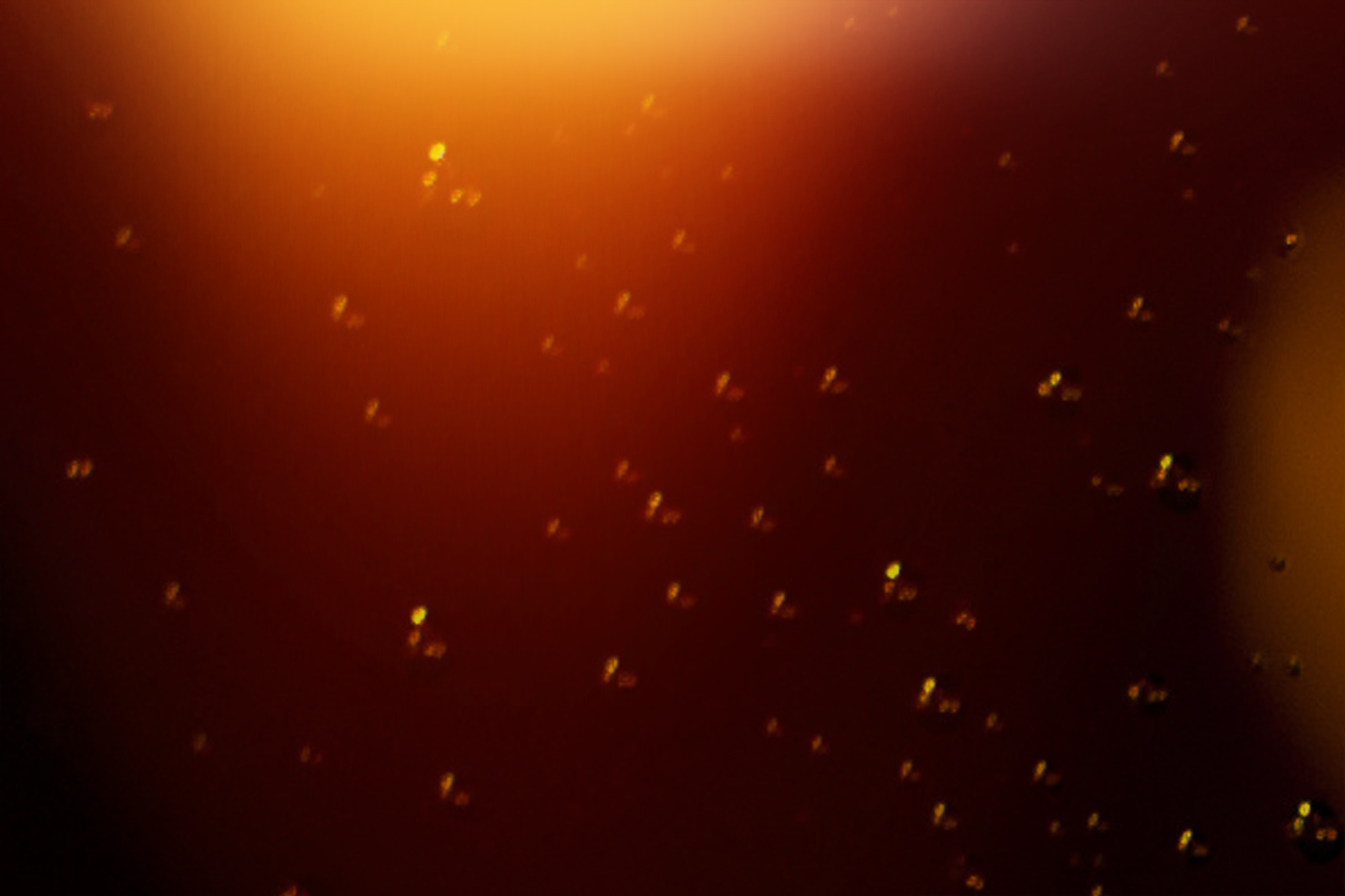 orange light black background