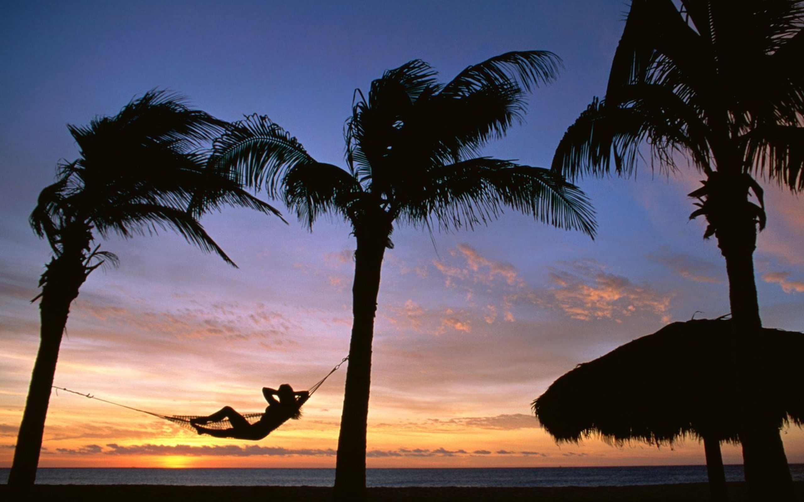 Hammock Sunset Wallpaper