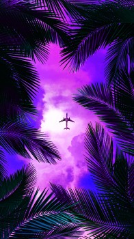 Wallpaper Purple, Light, Nature, Tree, Lighting, Background - Download ...