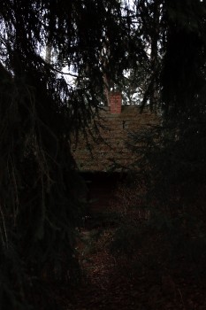 Wallpaper Tree, Nature, Black, Natural Environment, Darkness ...
