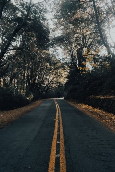 Wallpaper Natural Landscape, Infrastructure, Morning, Asphalt Concrete ...