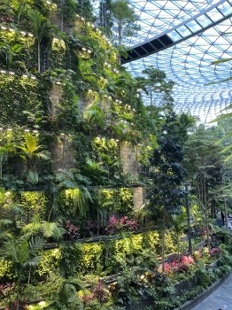 Wallpaper Vegetation, Botanical Garden, Biome, Landscape, Garden ...