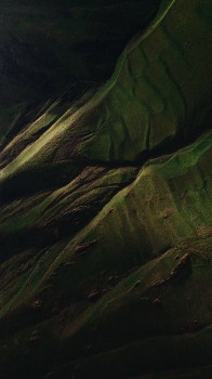 Wallpaper Water, Wood, Terrestrial Plant, Grass, Landscape, Background ...