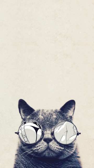 grumpy cat wallpaper phone