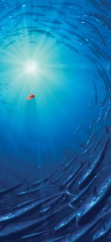 Wallpaper Finding Nemo Movie Poster, Finding Nemo Poster, Film Poster ...