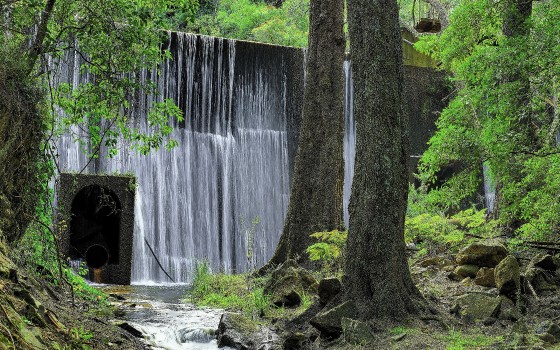 Wallpaper Brown Tree Trunk Near Water Falls, Background - Download Free ...