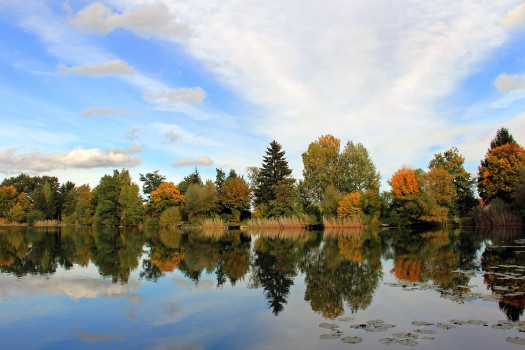 Les Fonds D’écran Arbres Verts et Bruns au Bord du Lac Sous Des Nuages Blancs et un Ciel Bleu ...