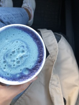 Wallpaper Drink, Cup, Blueberry, Coffee, Non Alcoholic Beverage ...