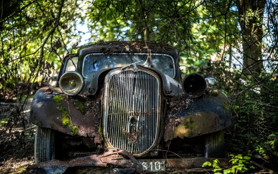 Wallpaper Green Vintage Car in Forest During Daytime, Background ...