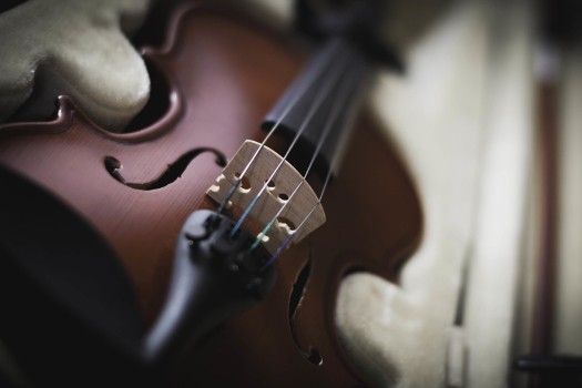 Kostenlose Hintergrundbilder Musik, Streichinstrument, Violine Familie ...