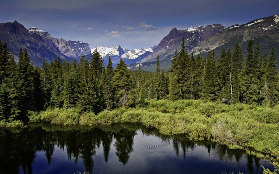 Wallpaper Green Trees Near Lake and Mountain Range, Background ...