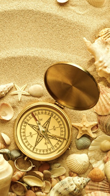 seashells iphone background