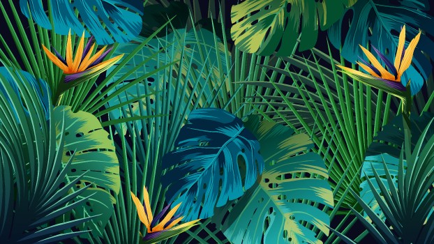 Wallpaper Vector Graphics, Illustration, Graphics, Vector, Design ...