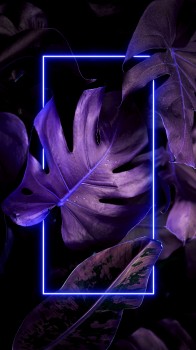 Wallpaper Drawing, Plant, Purple, Violet, Petal, Background - Download ...