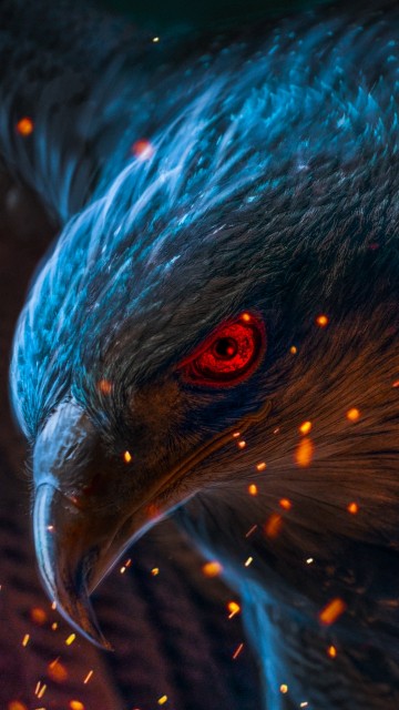 fire eagle wallpaper 4k