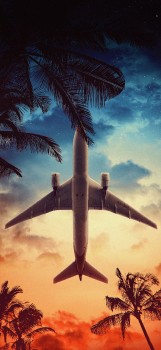 Wallpaper Cloud, Atmosphere, Aircraft, Airplane, Tree, Background ...