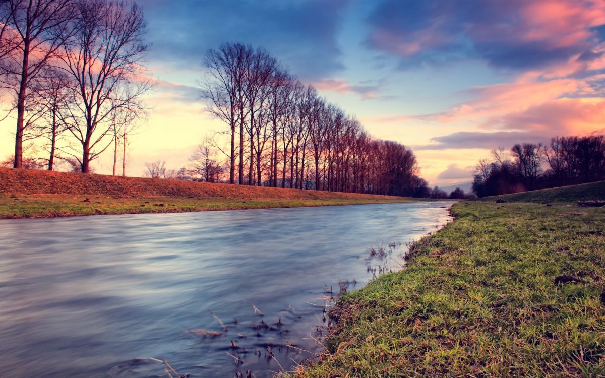 Kostenlose Hintergrundbilder Braune Bäume Neben Dem Fluss Unter Blauem ... Kostenlose Hintergrundbilder Braune Bäume Neben Dem Fluss Unter Blauem ...